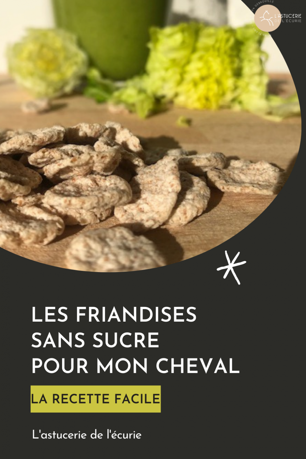 Tuto : La Recette des Friandises sans Sucre pour Mon Cheval