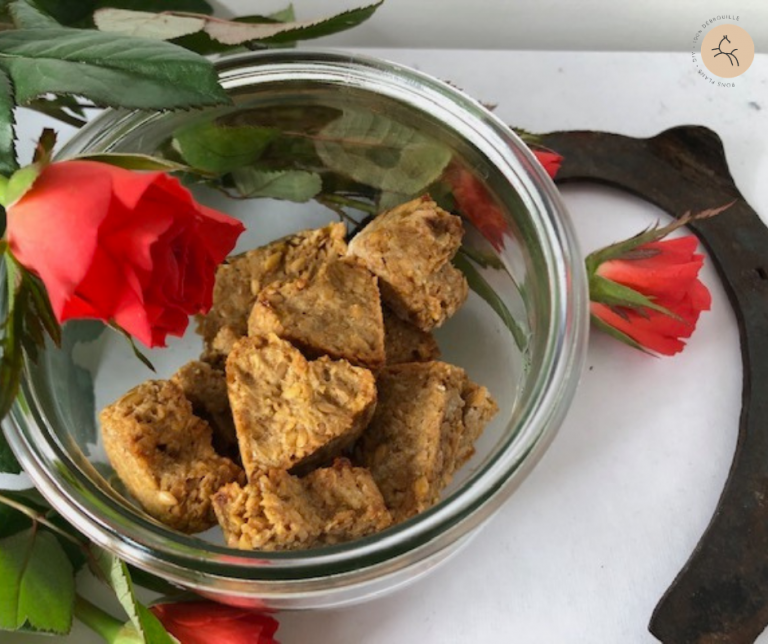 La Friandise Pour le Cheval et le Cavalier (à partager pour la St ...