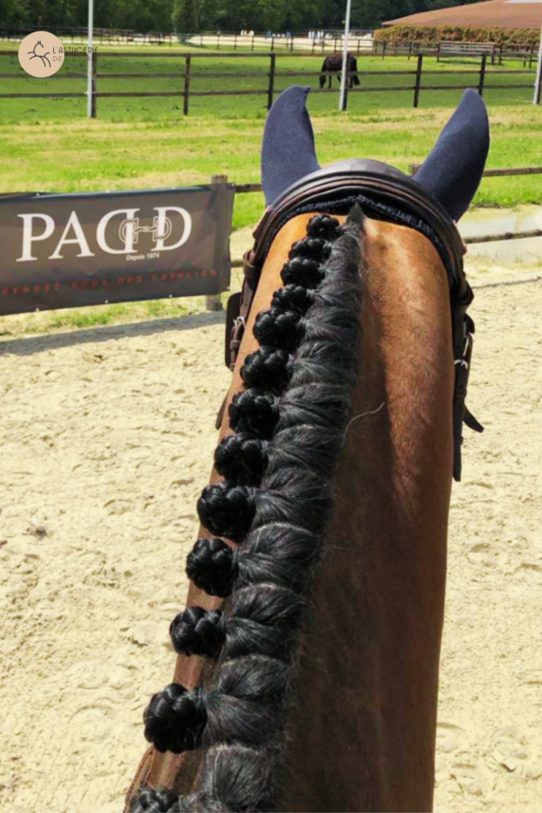 Crinière : L'astuce Inédite Pour avoir des Pions qui Tiennent plus de ...