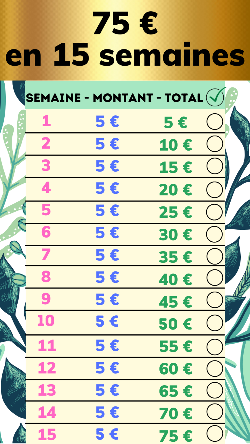 Le Défi Économie pour Épargner 500€ en 10 Mois (Spécial Budget Cavalier).