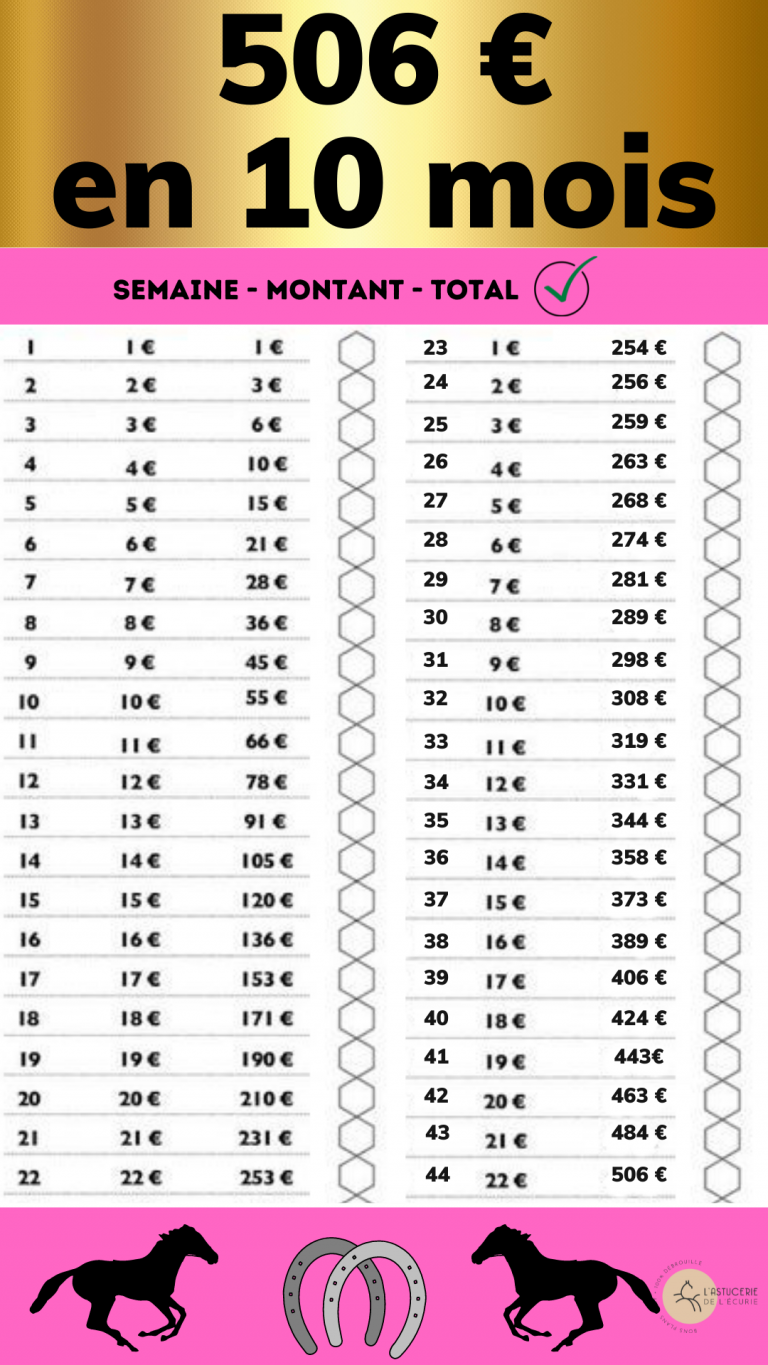 Le Défi Économie pour Épargner 500€ en 10 Mois (Spécial Budget Cavalier).