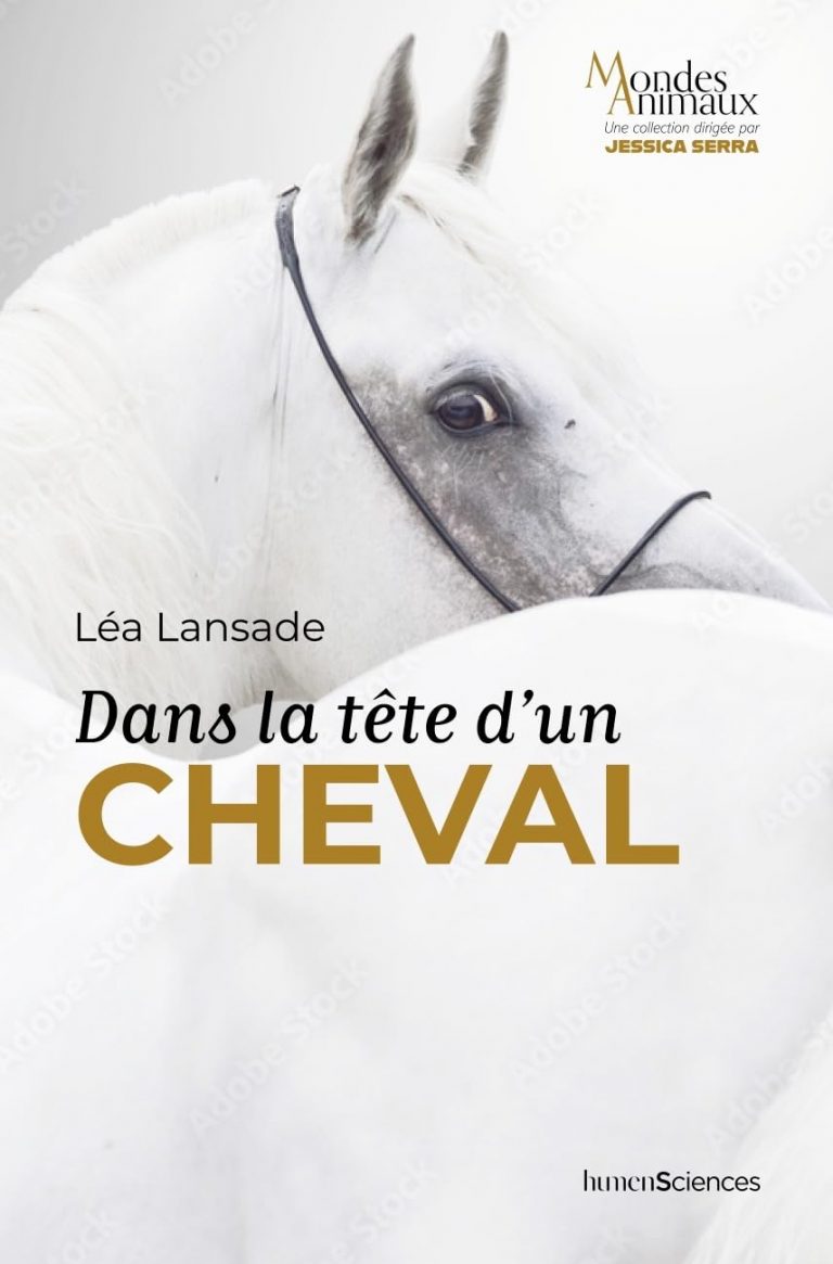 Les 6 Meilleurs Livres pour Mieux Comprendre les Chevaux. - Astucerie ...
